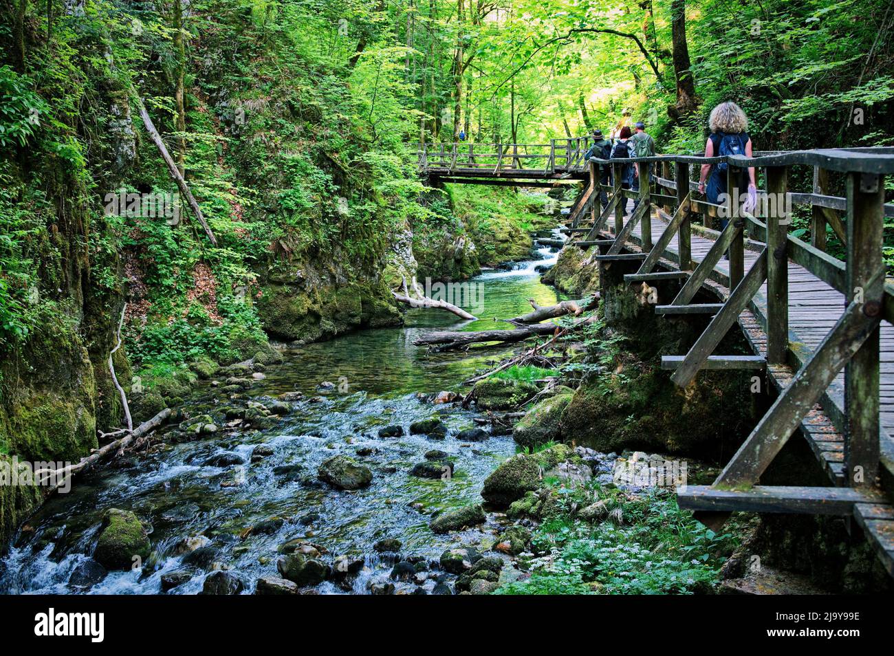Group bridge hi-res stock photography and images - Alamy