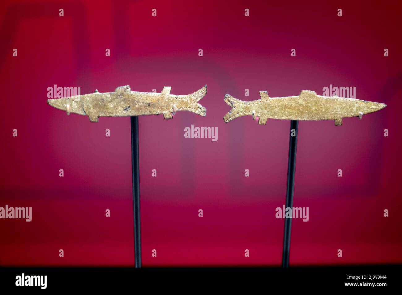 Shield mounts hi-res stock photography and images - Alamy