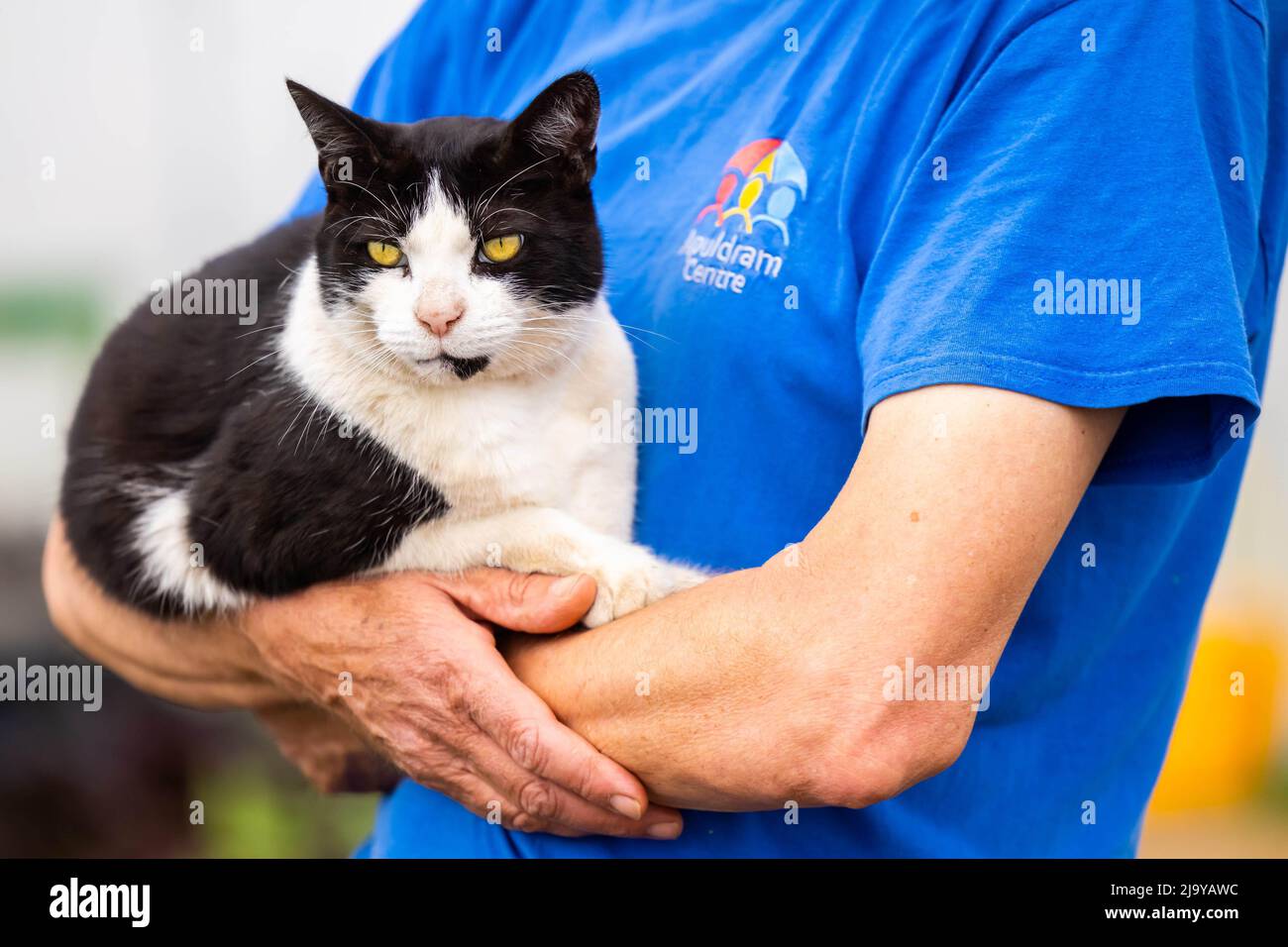 EDITORIAL USE ONLY Activities Support Worker Richard Manning with ...