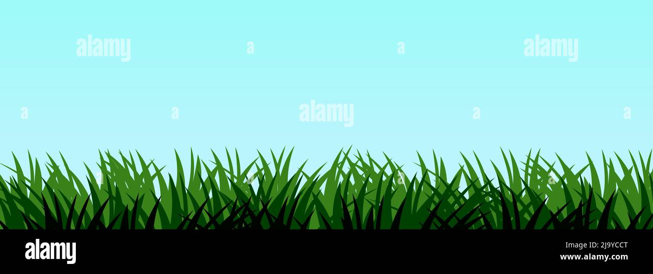Grass. Nature rural landscape. Pasture overgrown. Overgrown dense lawn ...