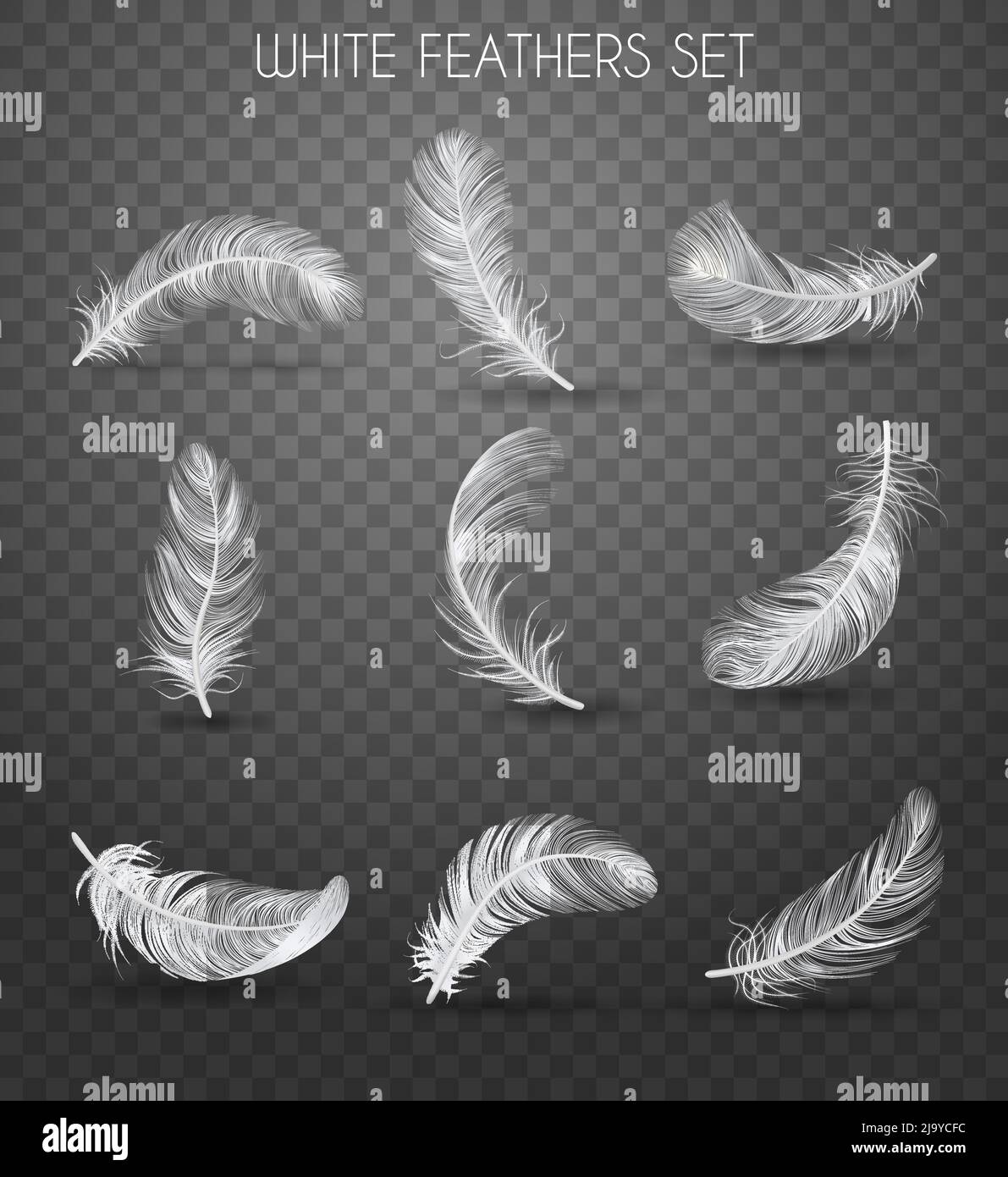 Realistic feather transparent set with white feathers set headline soft ...