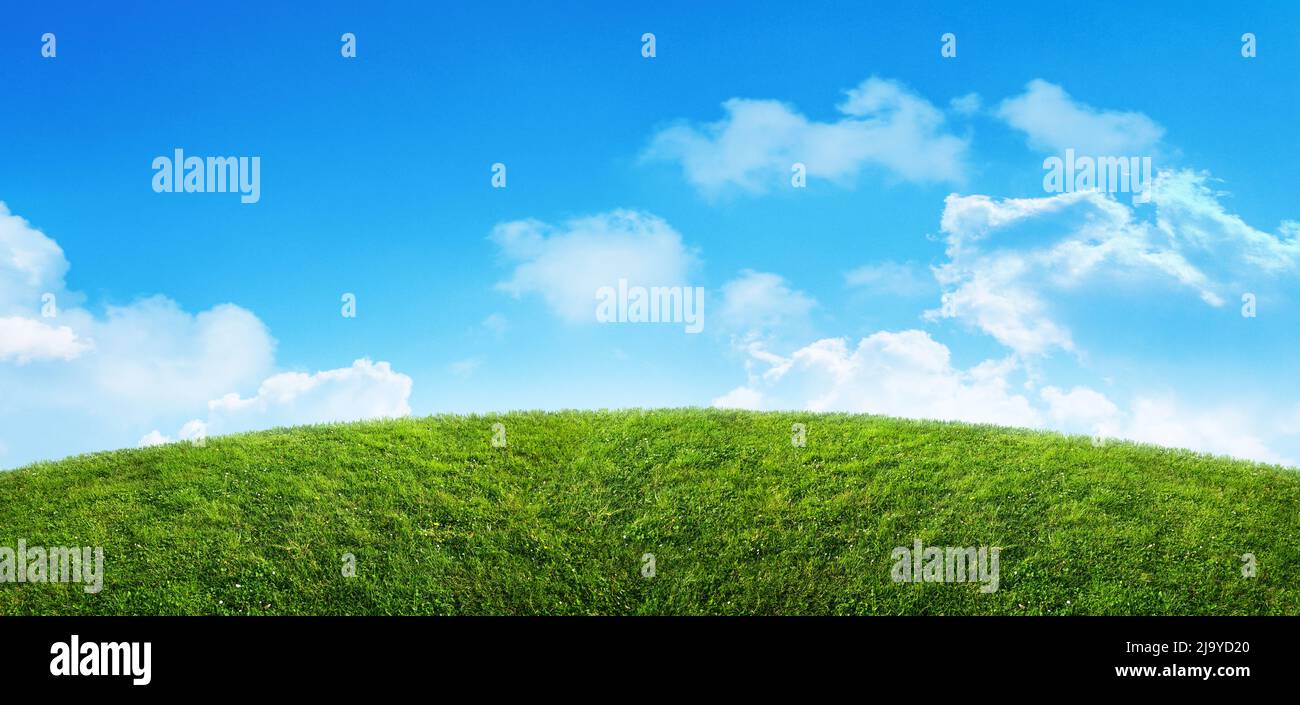 spring green grass field landscape and blue sky background Stock Photo ...