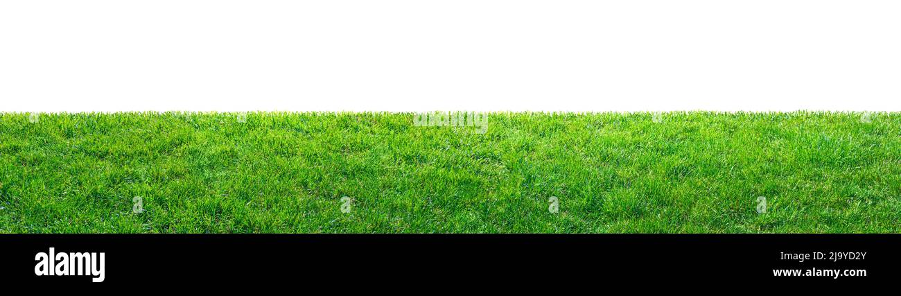 green grass field isolated on white background Stock Photo - Alamy