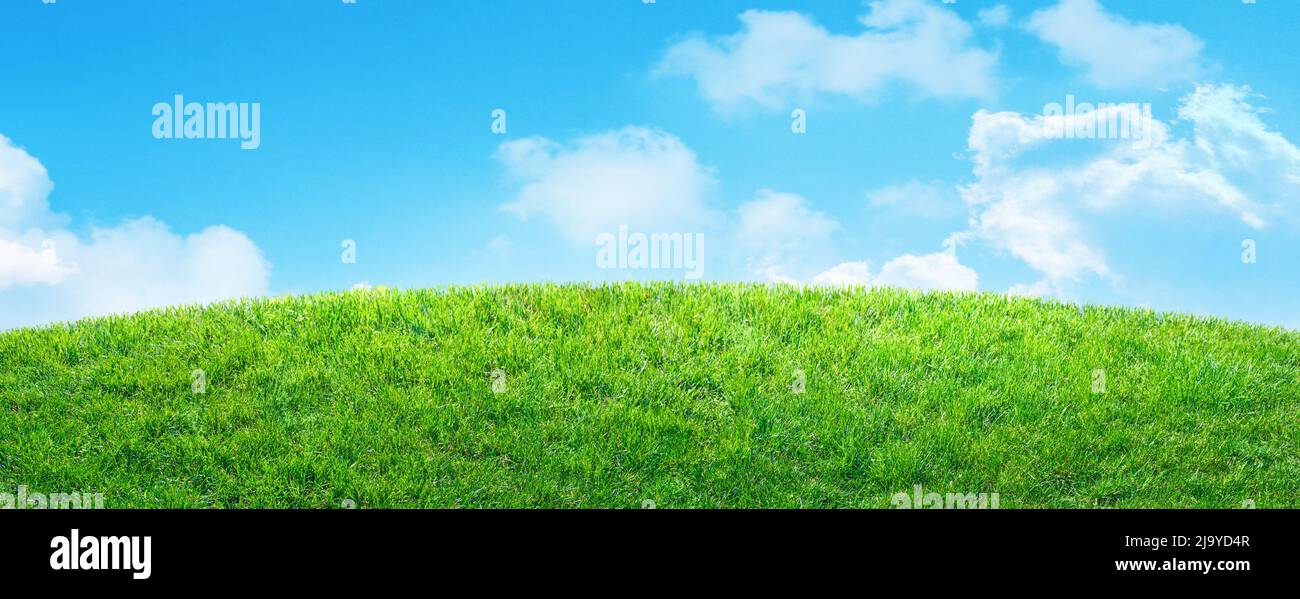 spring green grass field landscape and blue sky background Stock Photo ...