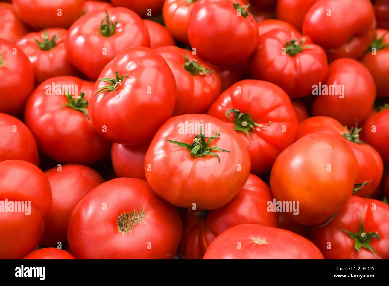 Tomatoes stacked on top of each other in a supermarket for sale, tomato ...