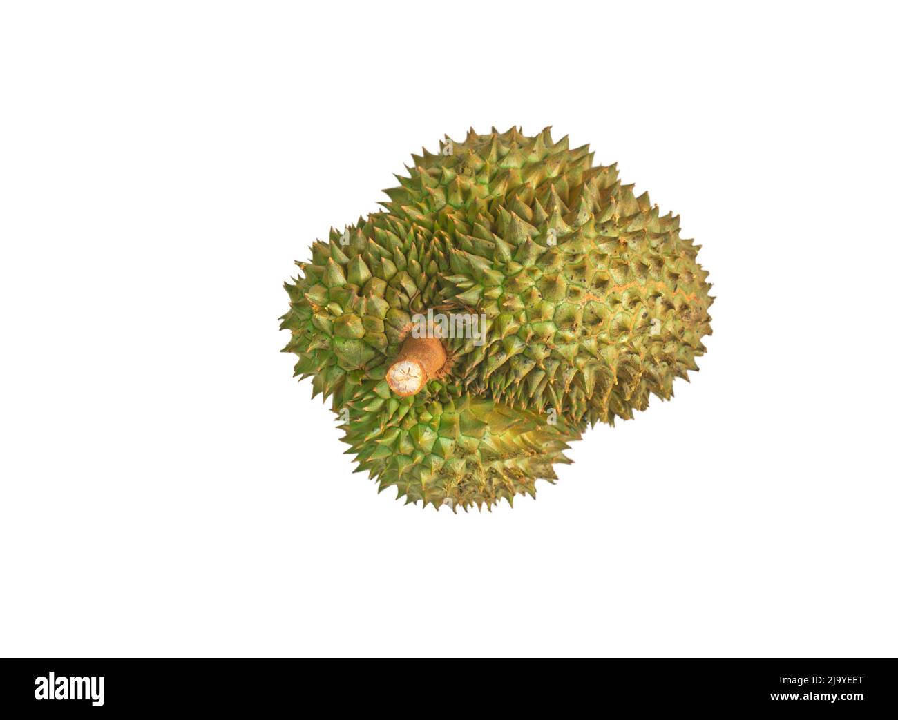 Isolated top view whole Thailand ripe durian on white background Stock ...