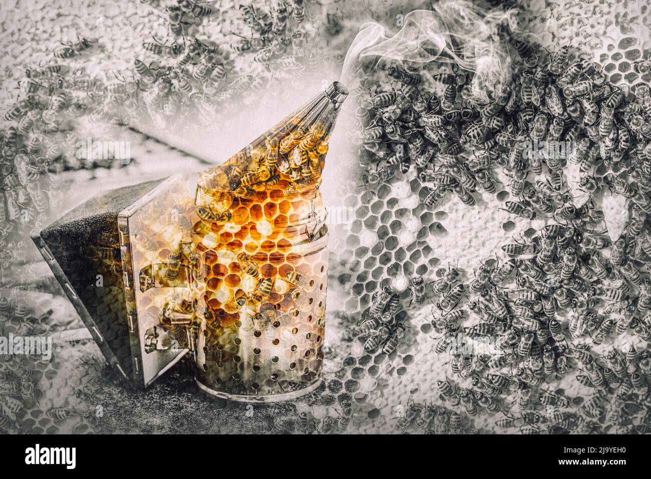 Smoke beekeeper for processing bees by smoke. Painting effect Stock ...