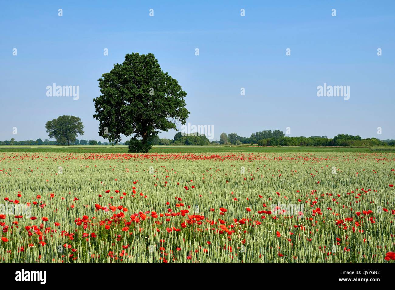 Piadena hi-res stock photography and images - Alamy