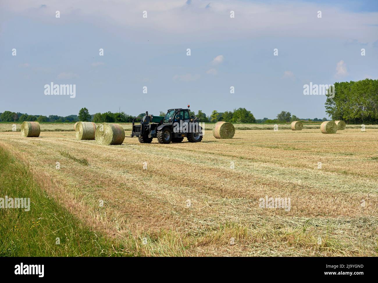 Piadena hi-res stock photography and images - Alamy