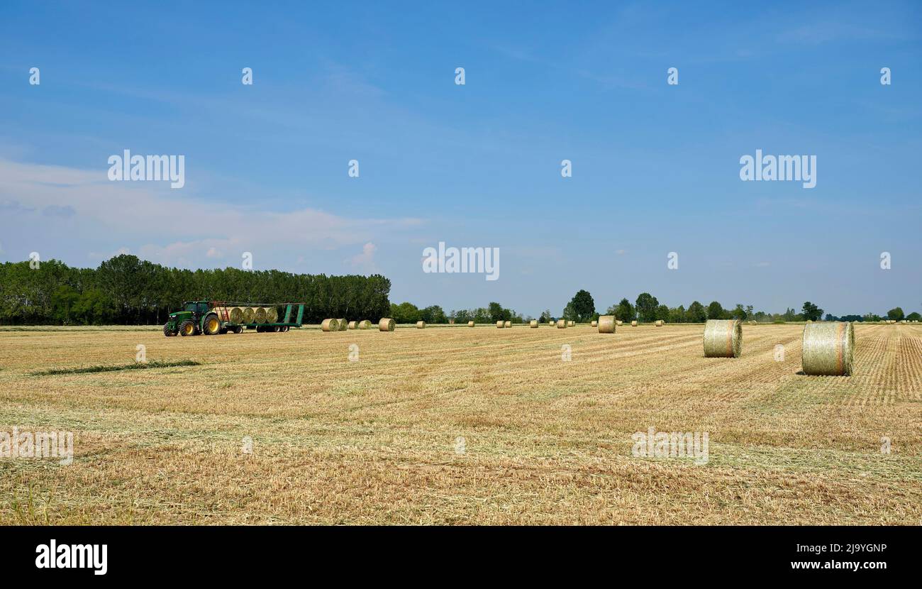 Piadena hi-res stock photography and images - Alamy