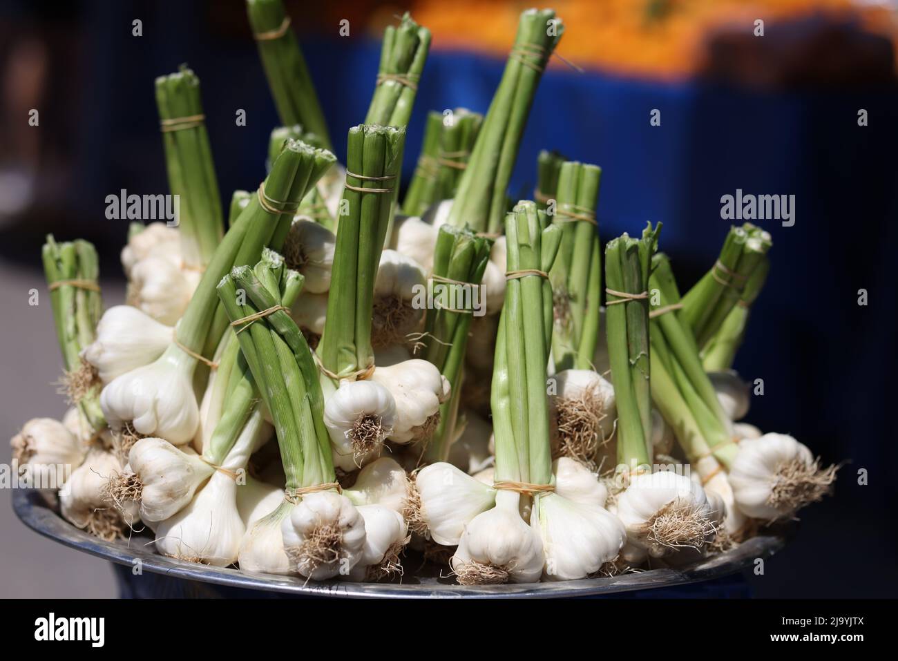 Garlic tops hi-res stock photography and images - Alamy