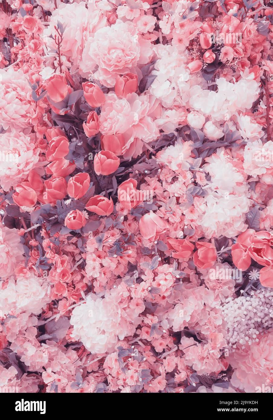 Abstract background of flowers. Faded color tone Stock Photo - Alamy