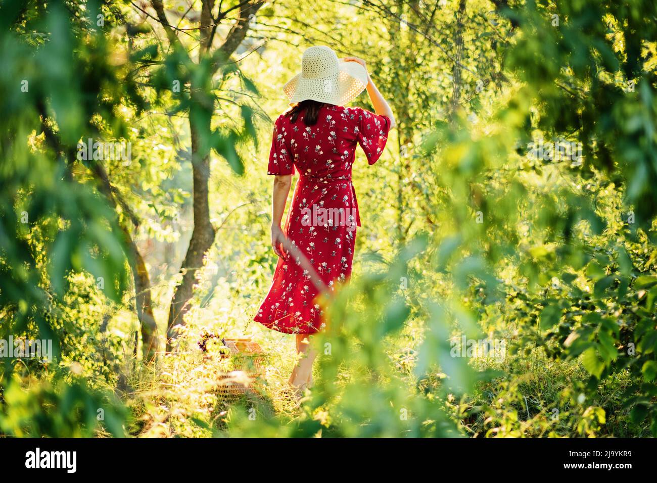 Woman in red dress enjoying nature. Nature therapy, ecotherapy ...
