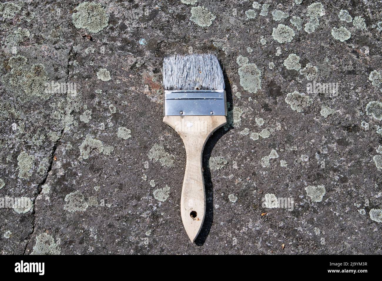 dirty used paintbrush on ground outdoors Stock Photo - Alamy