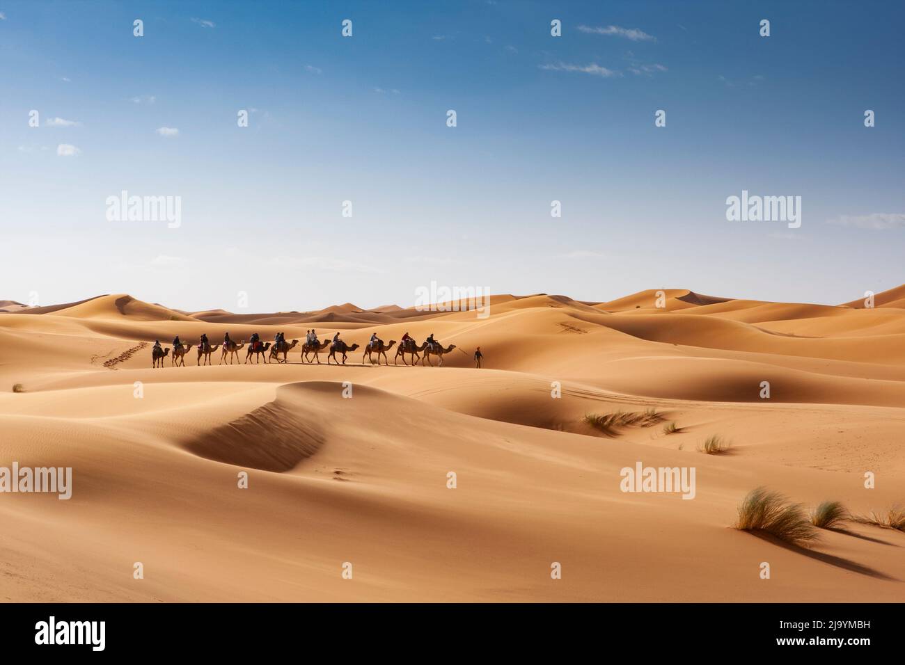 Erg cherby, Morocco, africa Stock Photo - Alamy