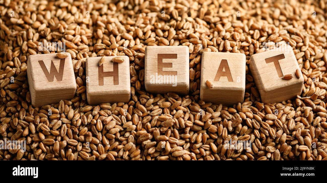 WHEAT word on wooden blocks and wheat grain background Stock Photo - Alamy