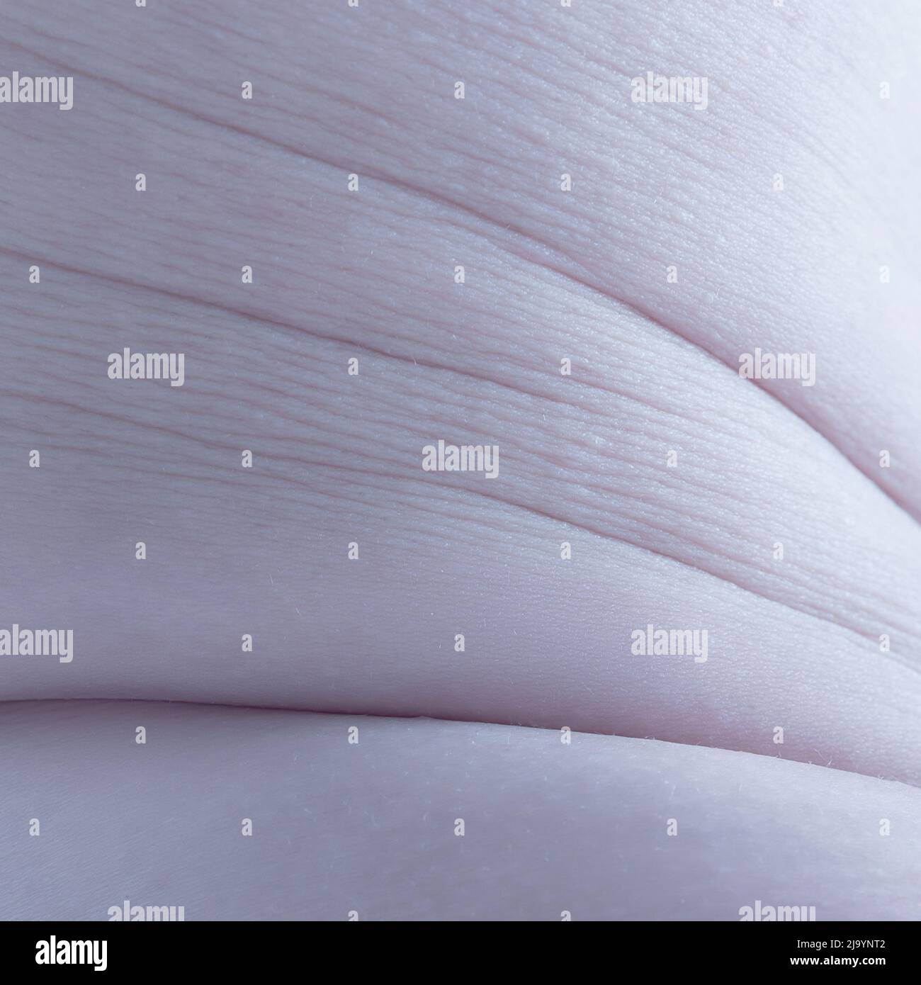 Female body texture. Close-up image of woman's body, plaits. Monochrome ...