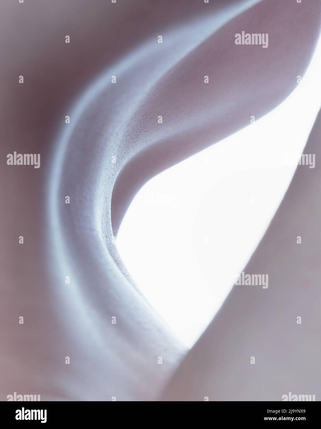 Female body texture. Tender, slim womens' body, belly isolated over ...