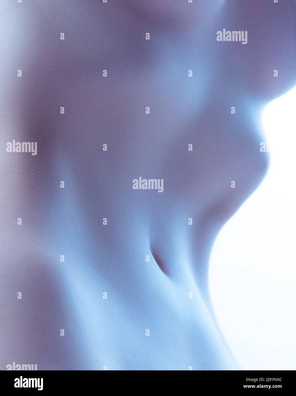 Female body texture. Perfect slim shape of woman's body, belly isolated ...