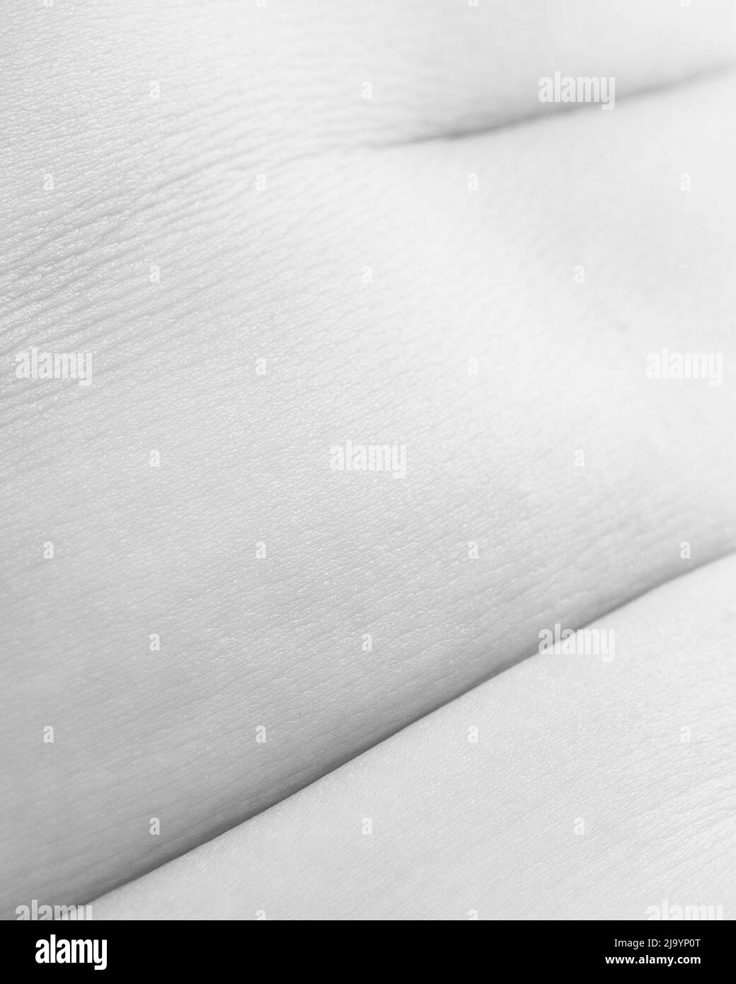 Female body texture. Close-up image of woman's body, plaits. Black and ...