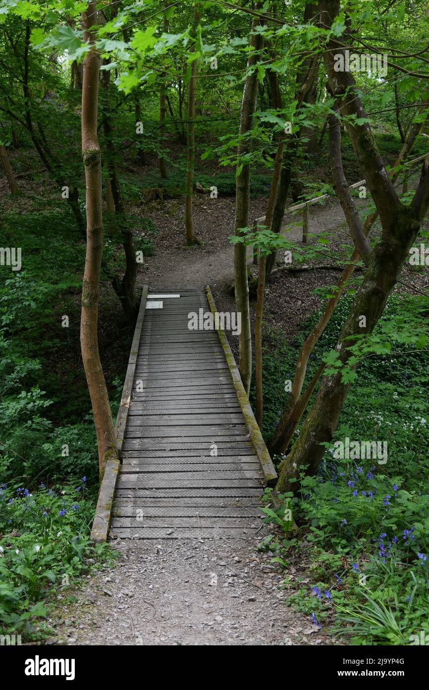 Dark shade path paths pathway hi-res stock photography and images - Alamy