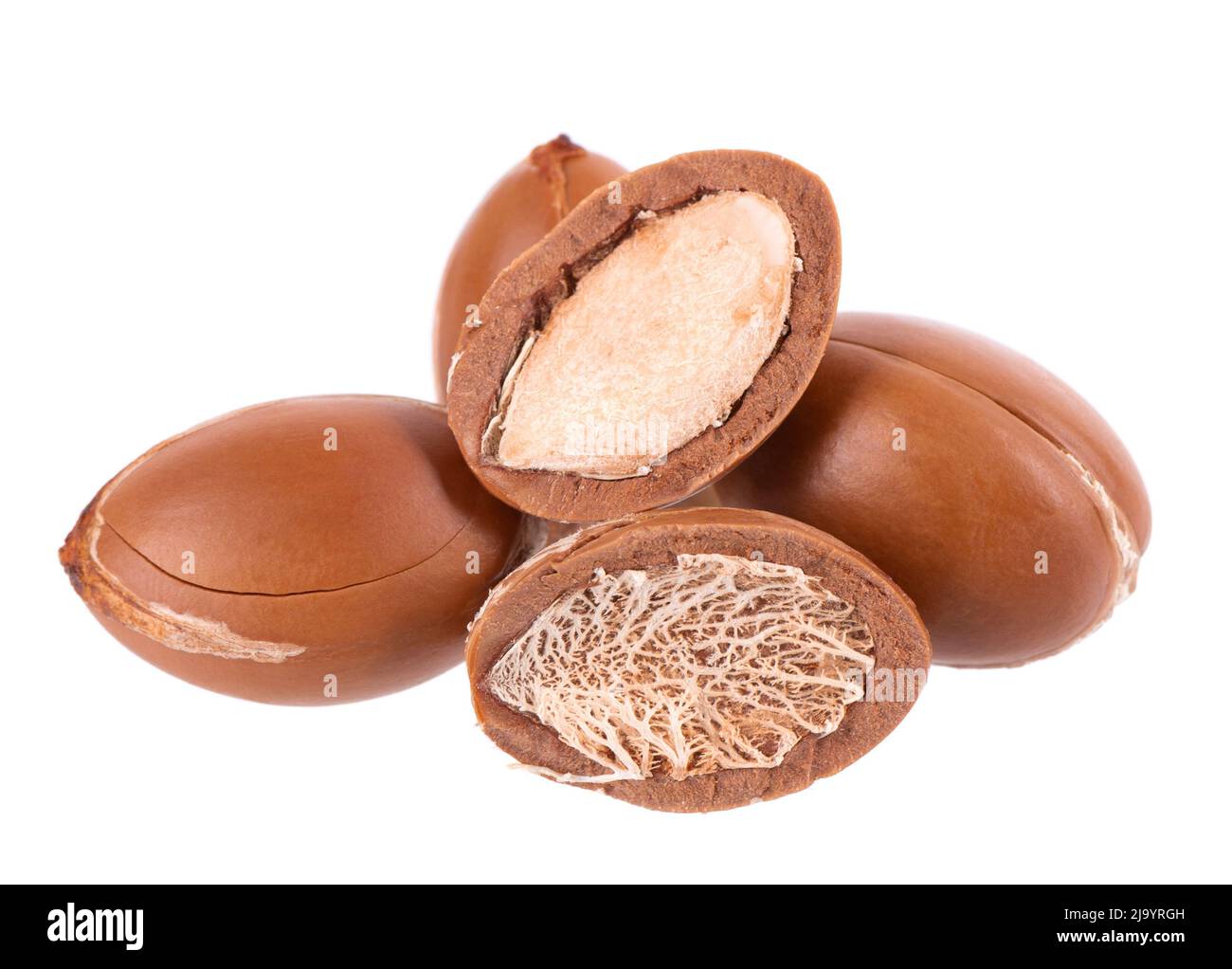 Argan seeds isolated on white background. Natural argan nuts from ...