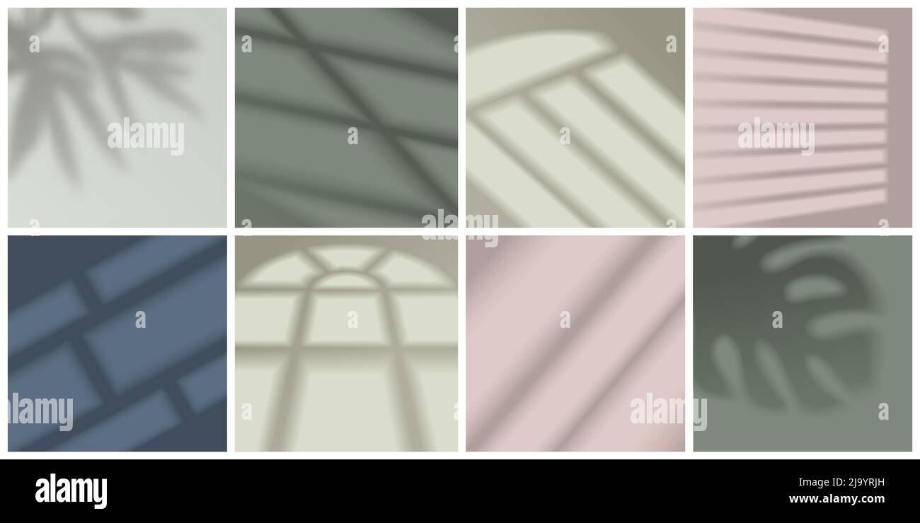 Light projection tree Stock Vector Images - Alamy