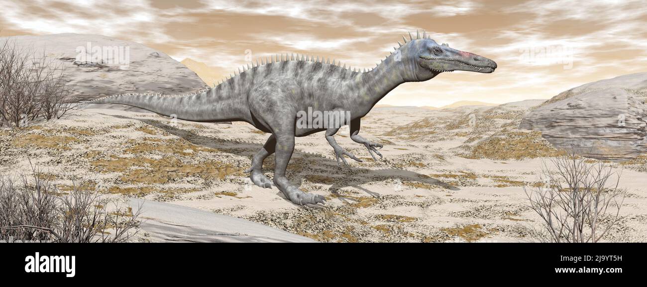 Suchomimus dinosaur in the desert - 3D render Stock Photo - Alamy