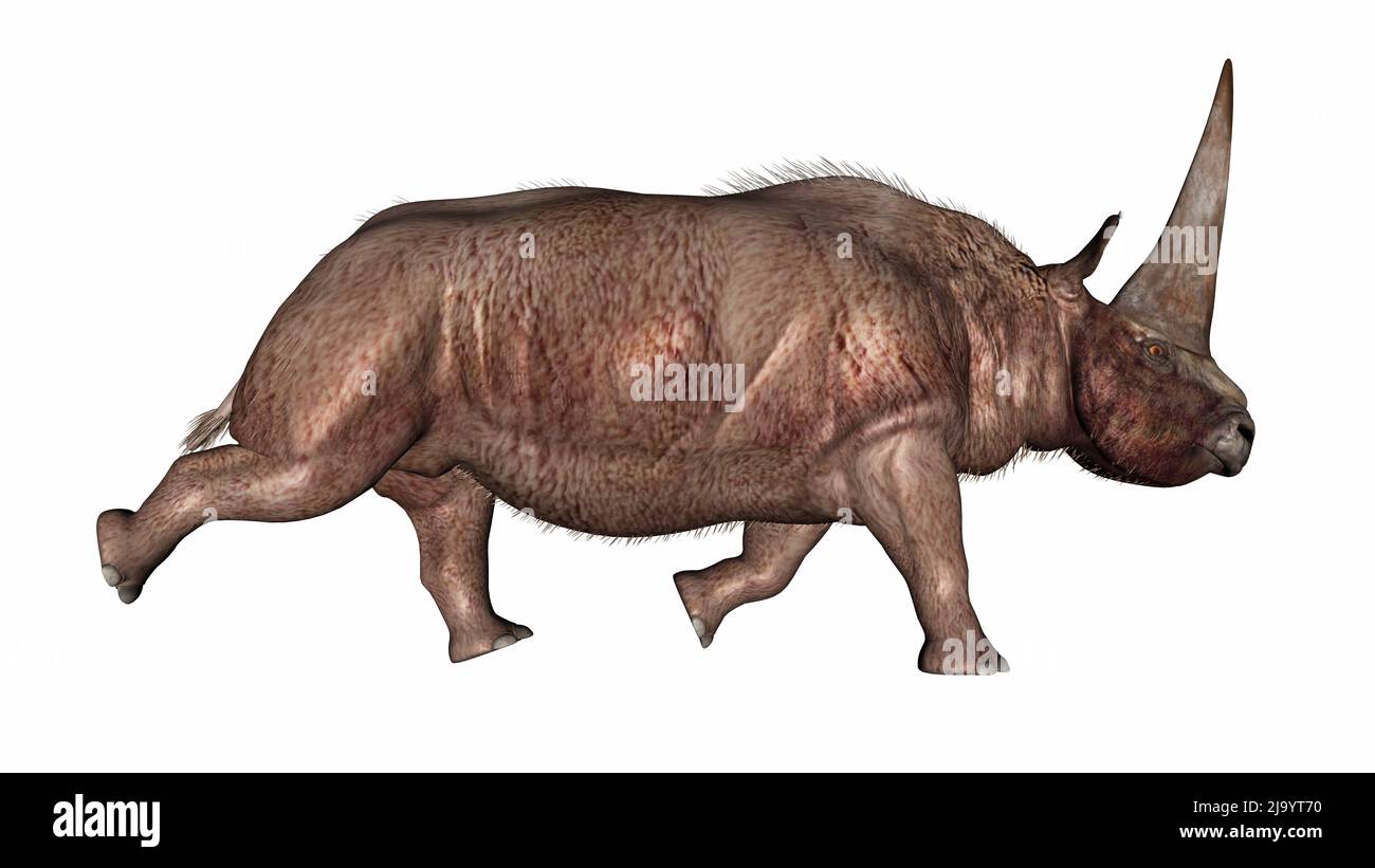 Elasmotherium rhinoceros with big running - 3D render Stock Photo - Alamy