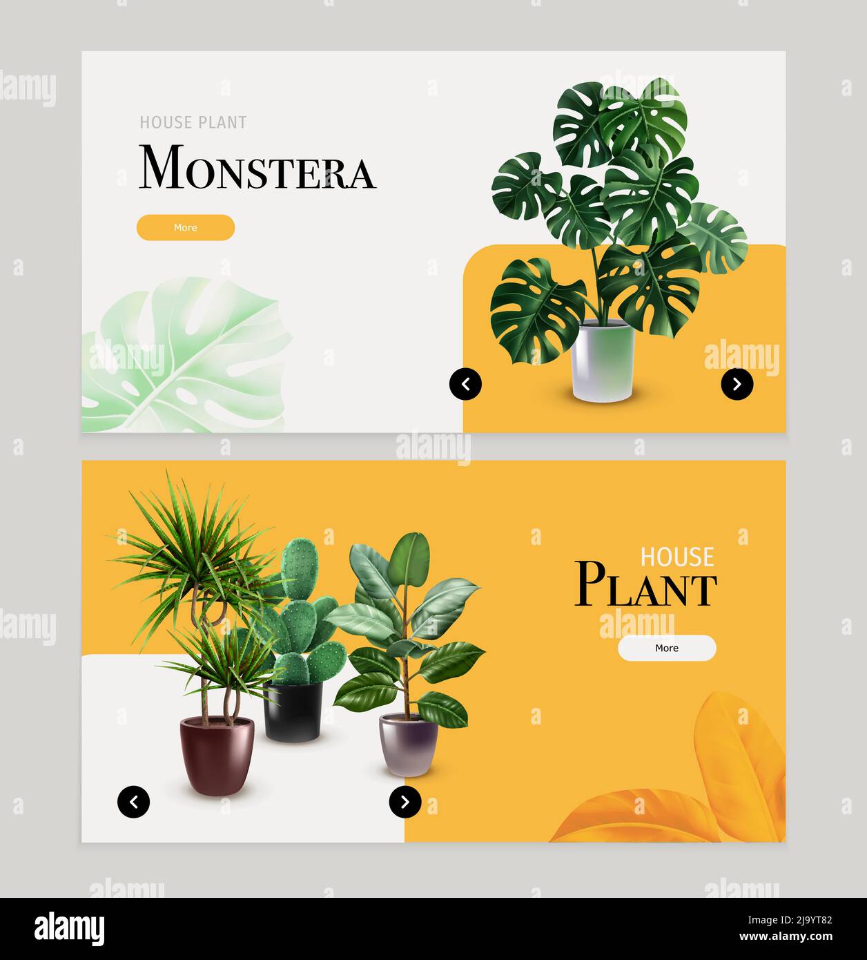 Houseplants horizontal banners with monstera cactus and other exotic ...