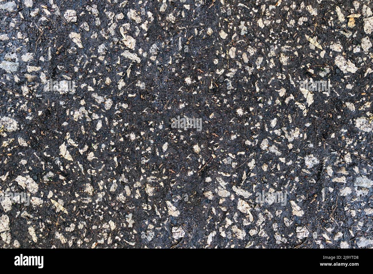 Ground texture - close-up of a fragment of compact and stony ground ...