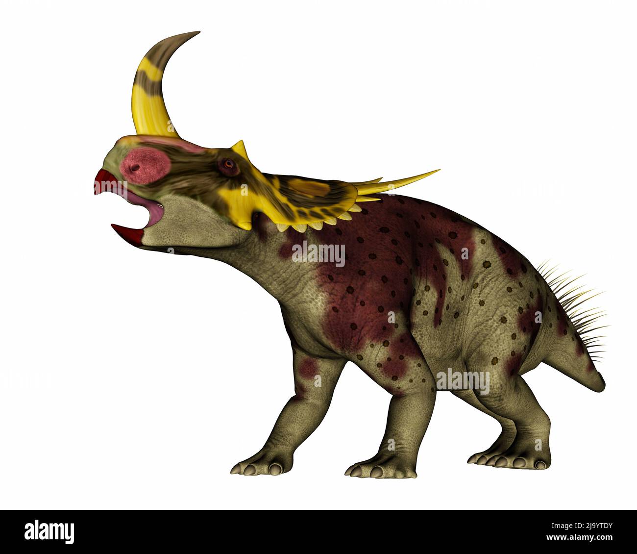 Rubeosaurus hi-res stock photography and images - Alamy