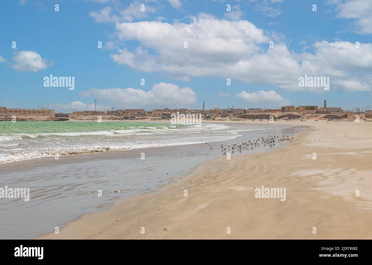 Surrounded by the green waters of the arabic sea, Oman displays dozens ...