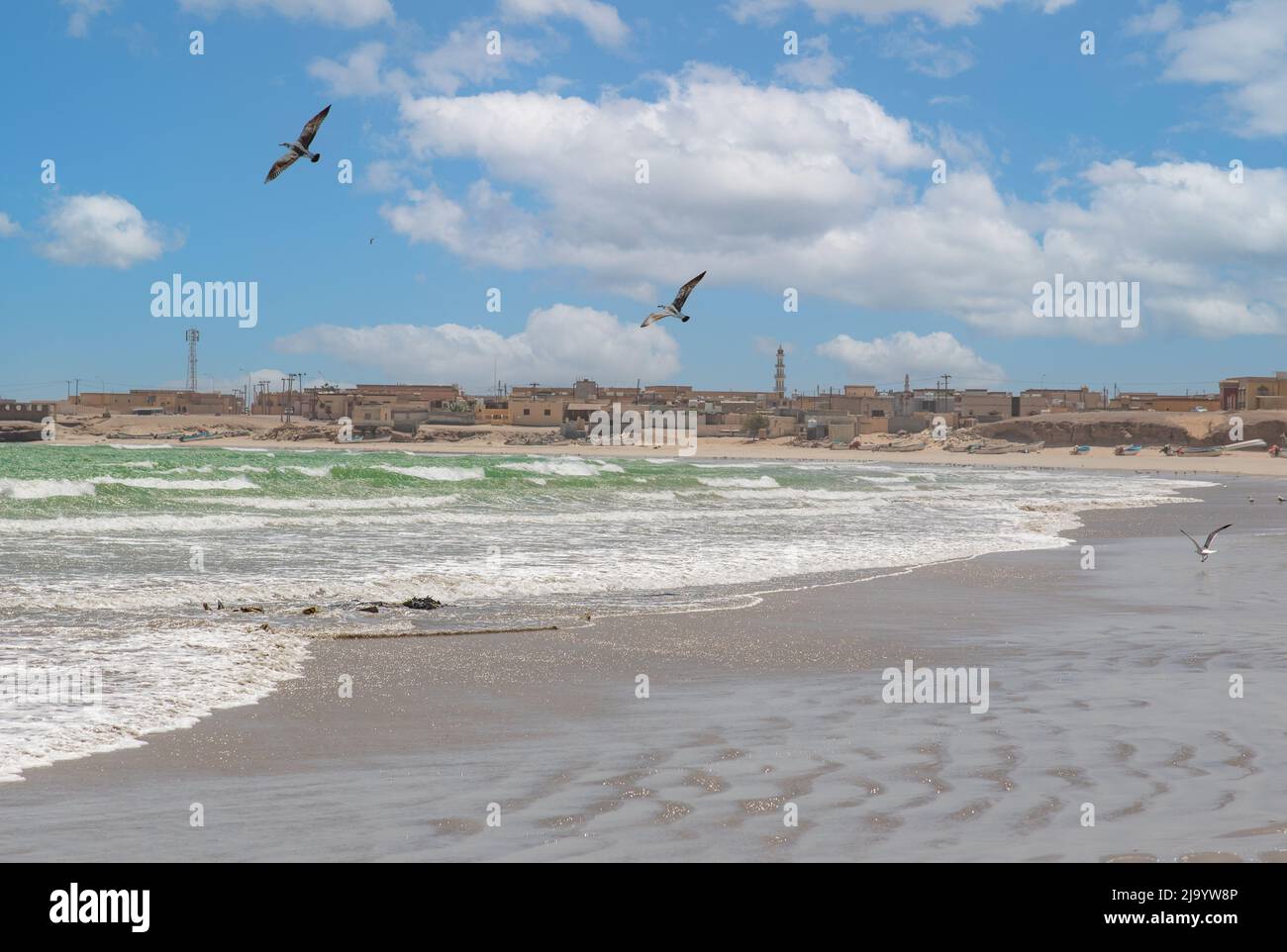 Surrounded by the green waters of the arabic sea, Oman displays dozens ...