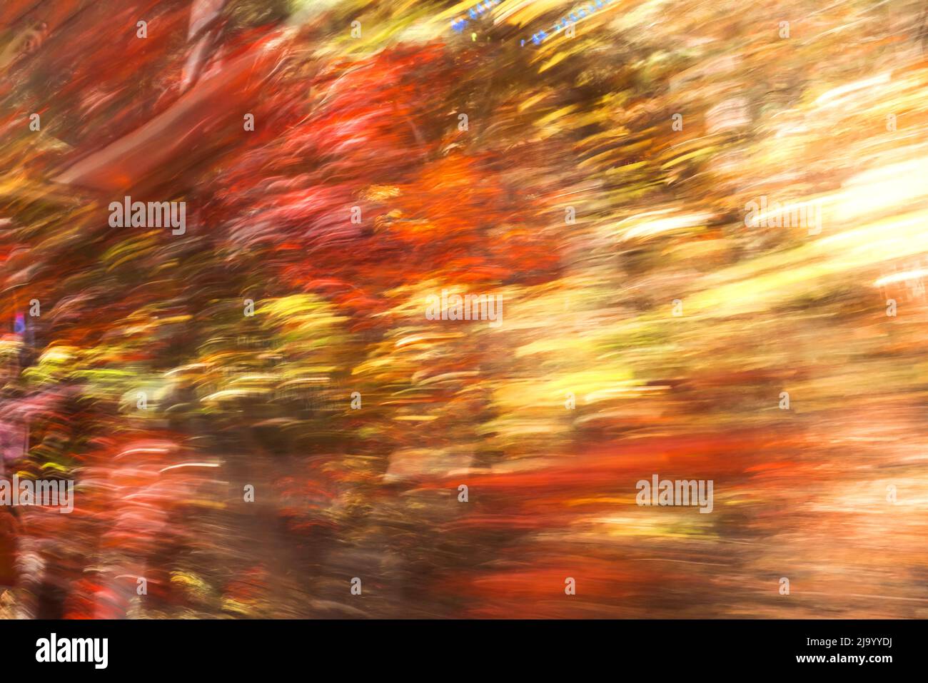 The abstracted blur autumn color Stock Photo - Alamy