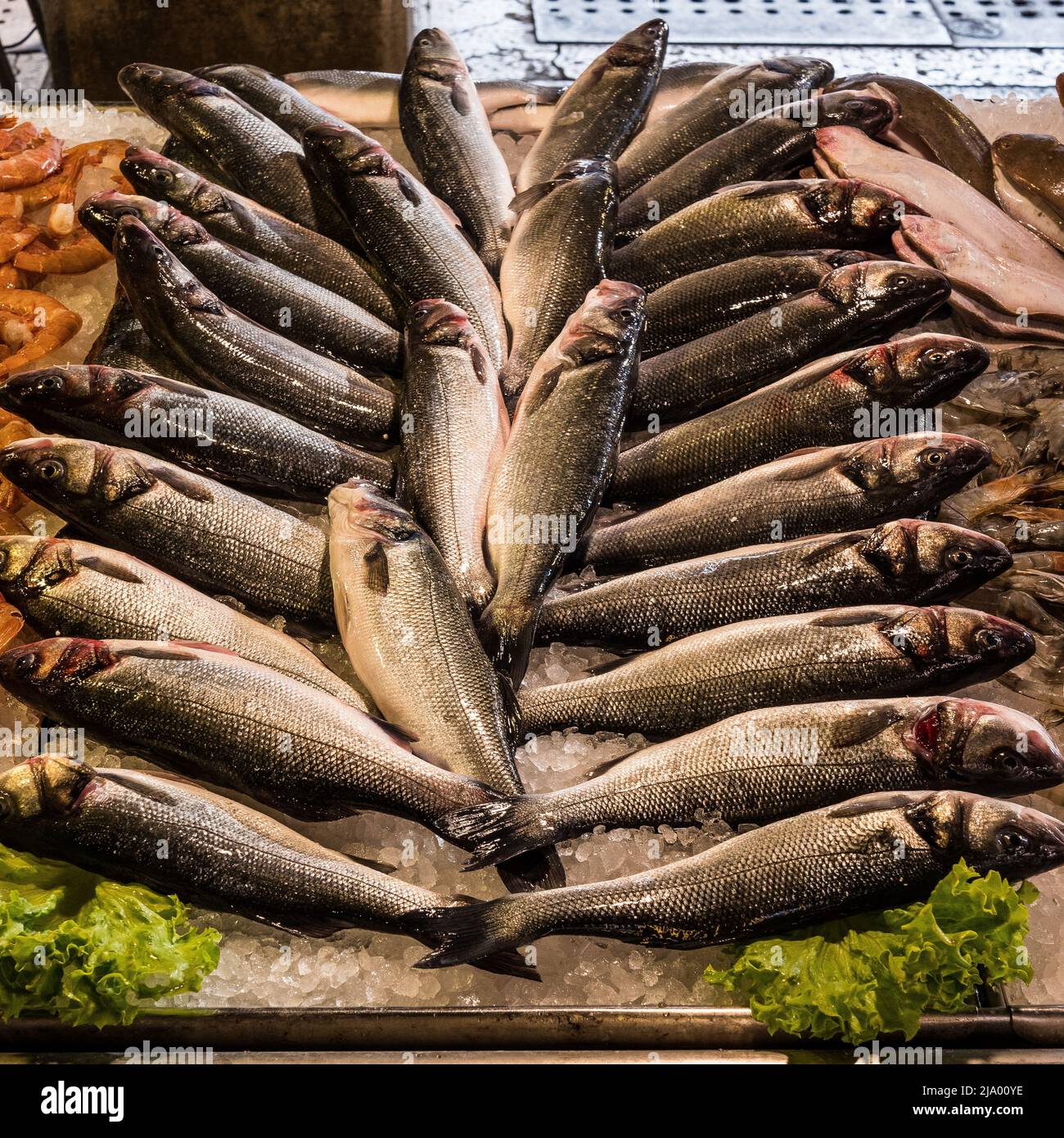 Fresh fish display at the Rialto Fish Market, Venice, Italy Stock Photo ...