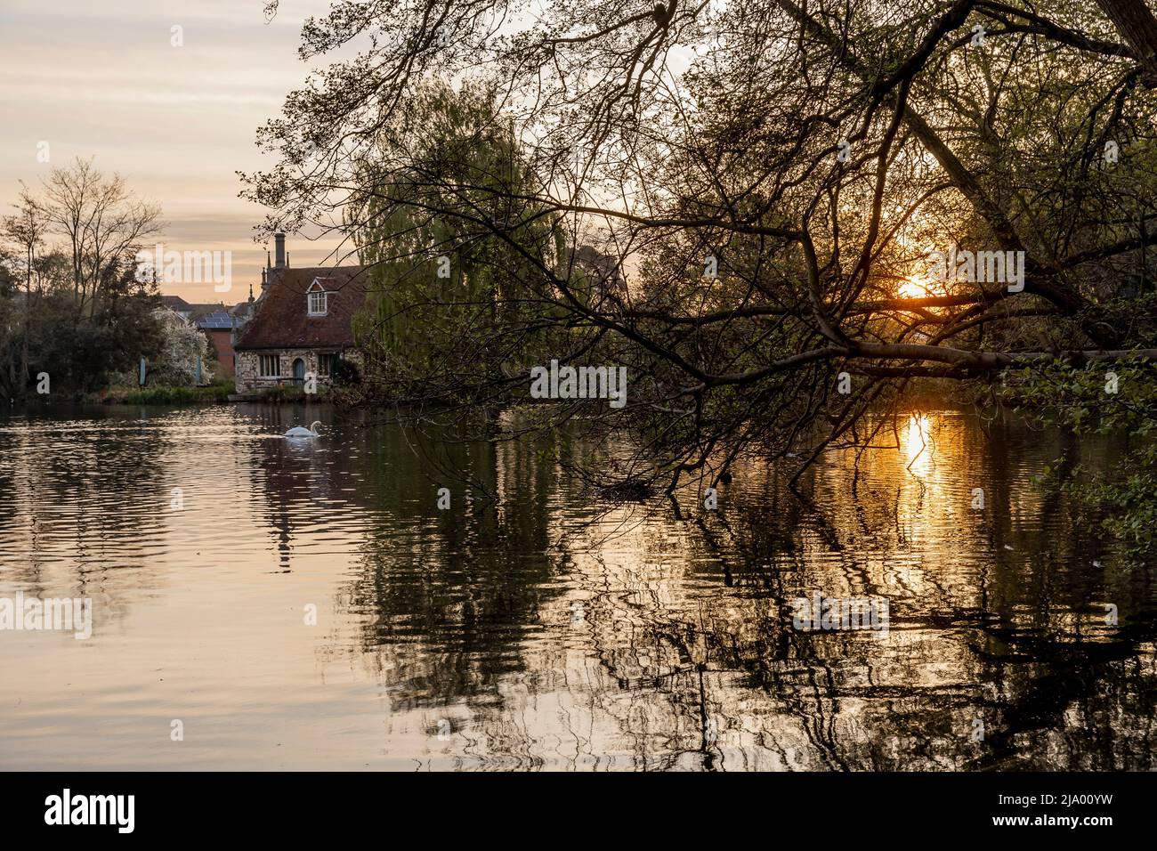 Colchester