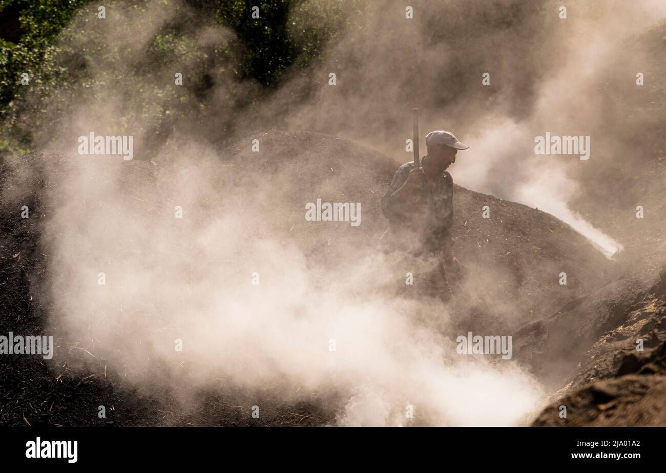 In making charcoal, it is necessary to work in the fumes and coal dust ...