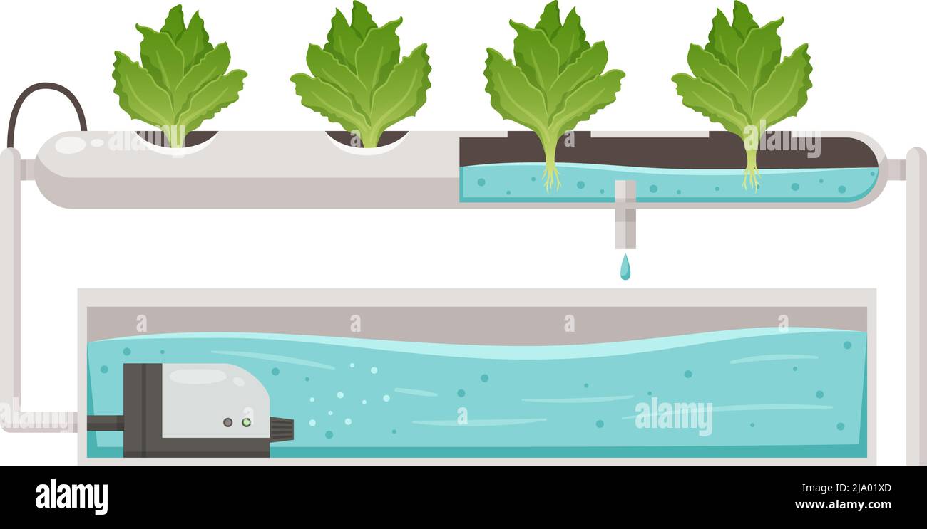 Greenhouse vertical farming hydroponics aeroponics cartoon composition ...