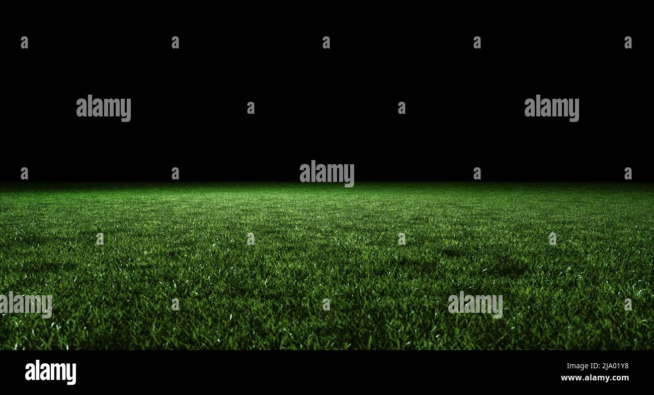 Low angle view of lush green lawn at night illuminated by light ...