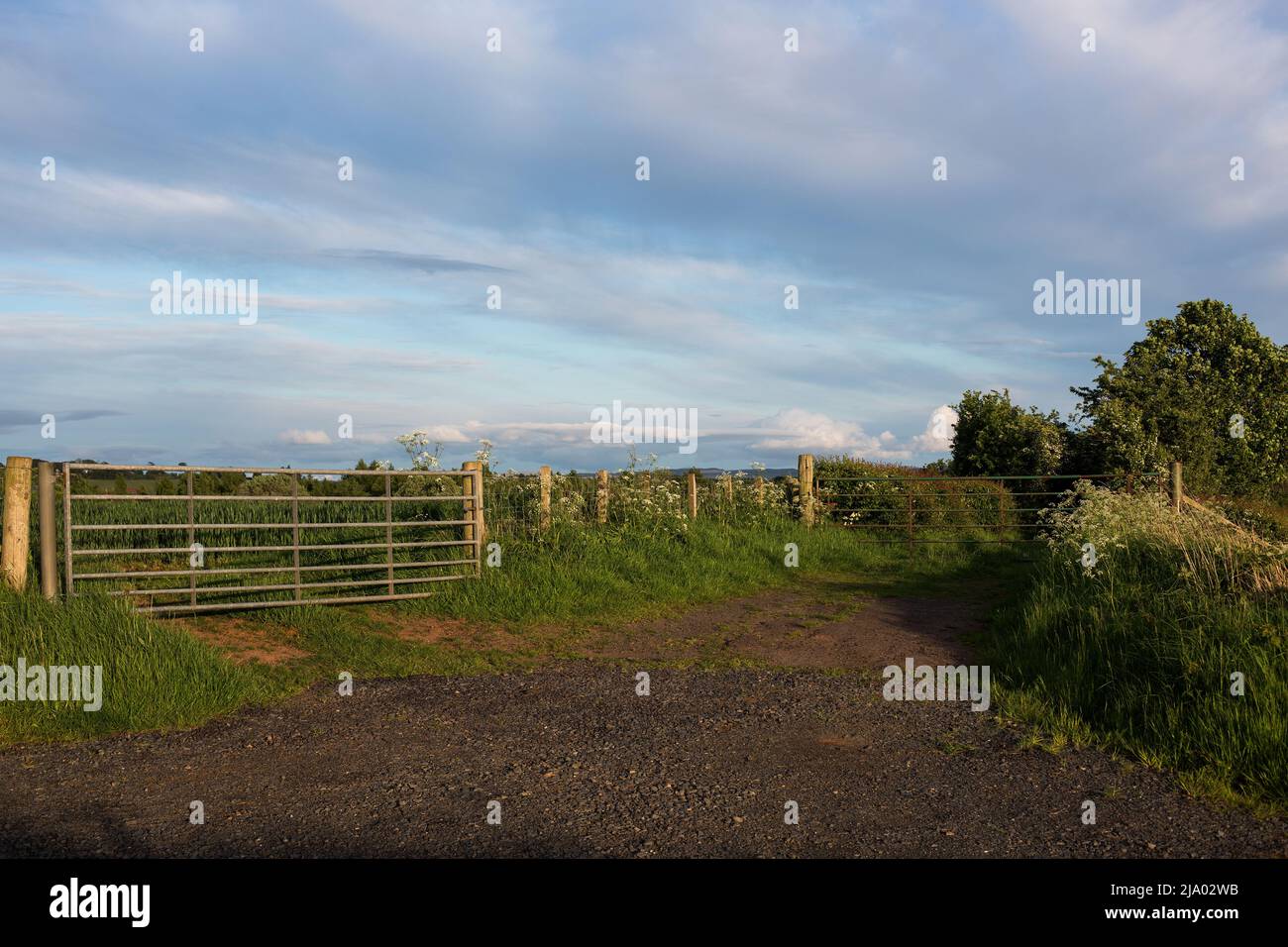 Field path with gravel and foliage and trees hi-res stock photography ...
