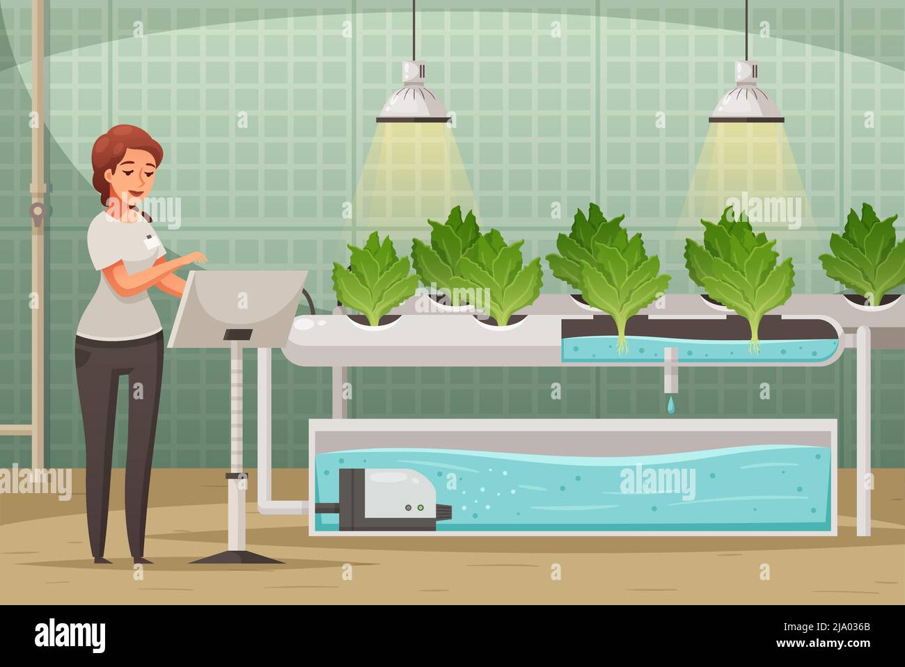 Greenhouse farming background with hydroponics and aeroponics symbols ...