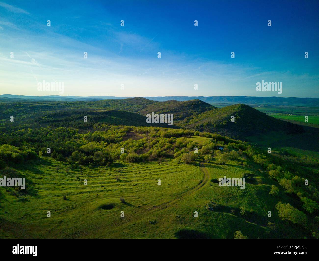 Bird's eye view of spring blooming green meadows and wooded hilly ...