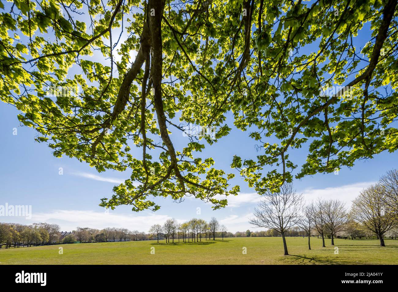 Colchester