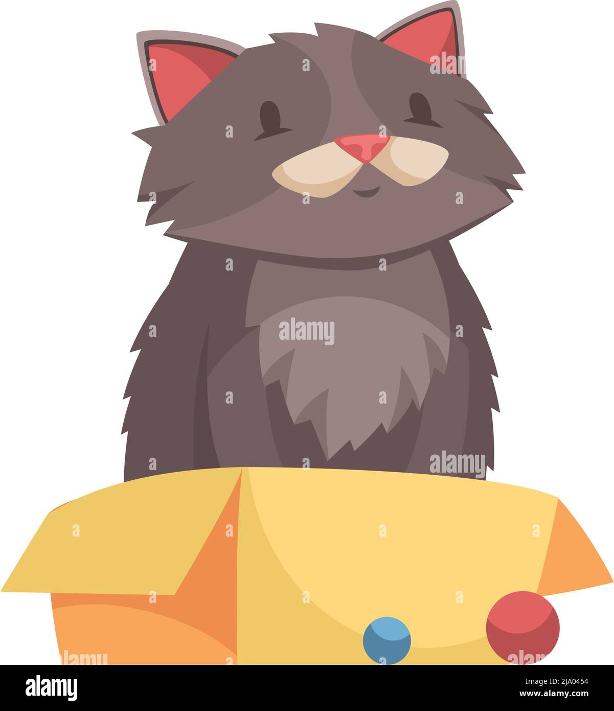 Tail re growing Cut Out Stock Images & Pictures - Alamy