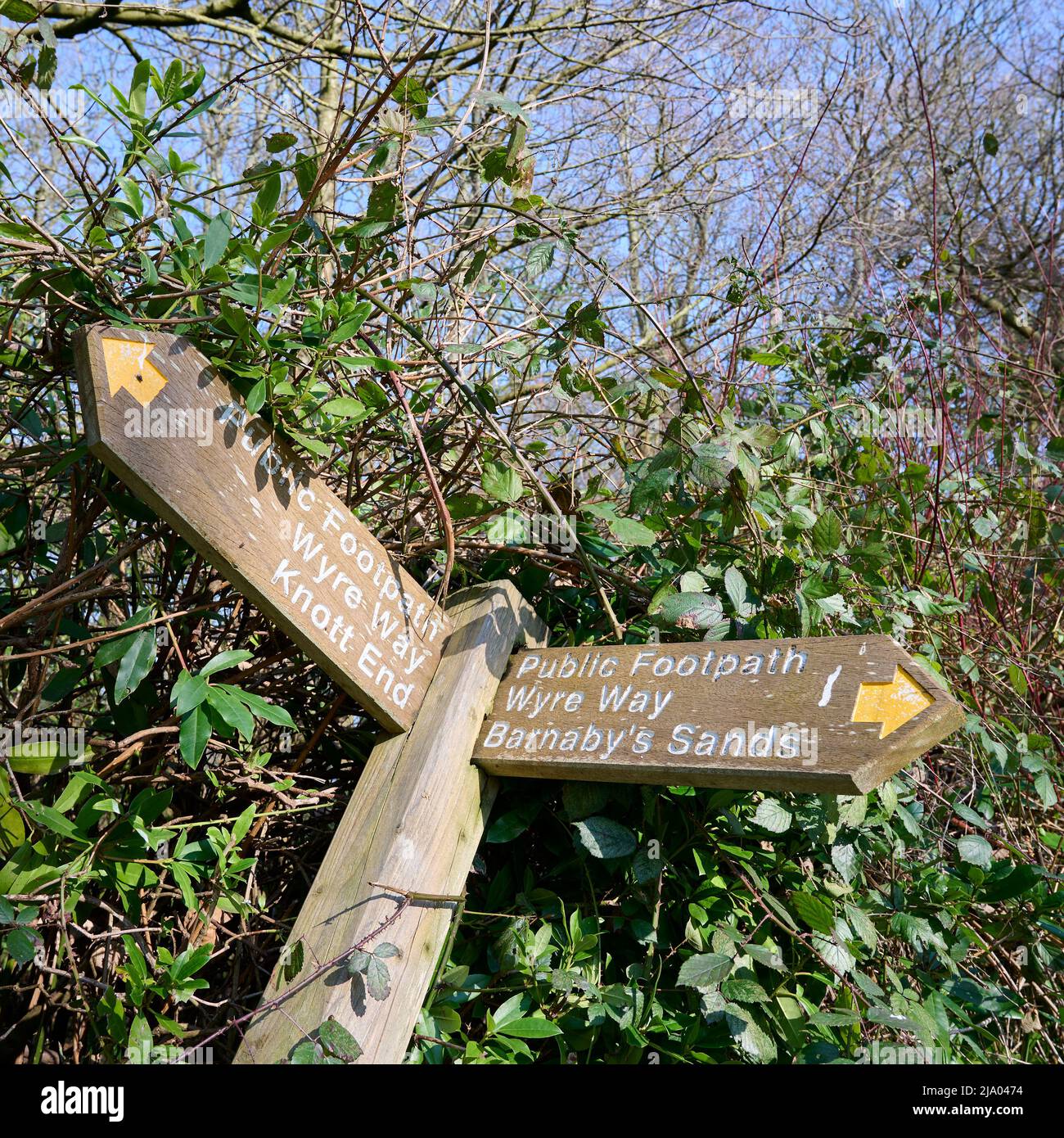Wooden footpath sign fallen into bushes after storm Stock Photo - Alamy