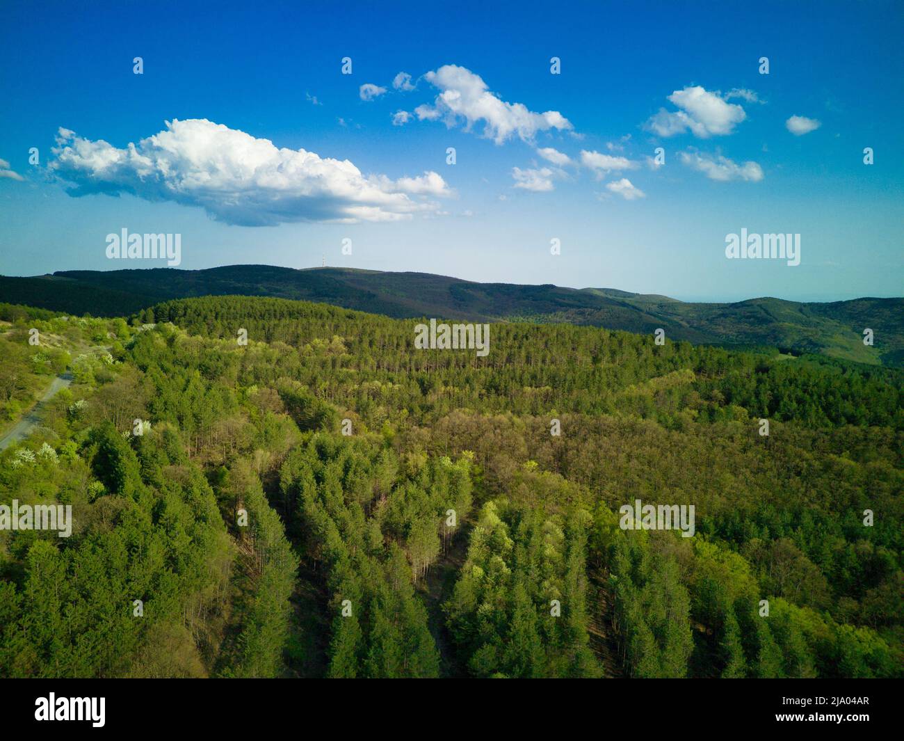Bird's eye view of spring blooming green meadows and wooded hilly ...
