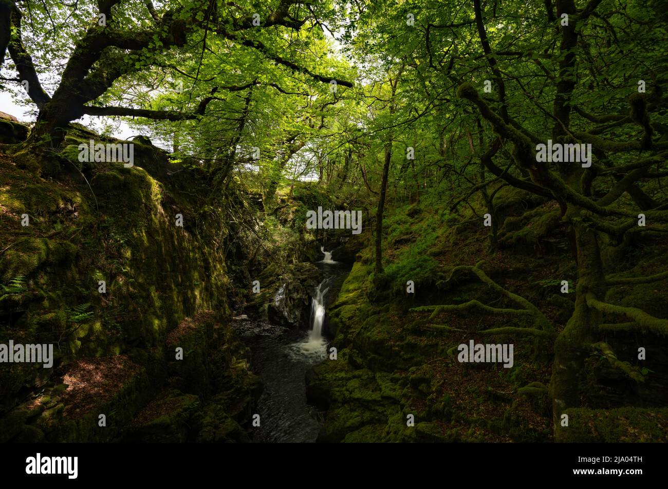 Cynfal waterfall hi-res stock photography and images - Alamy