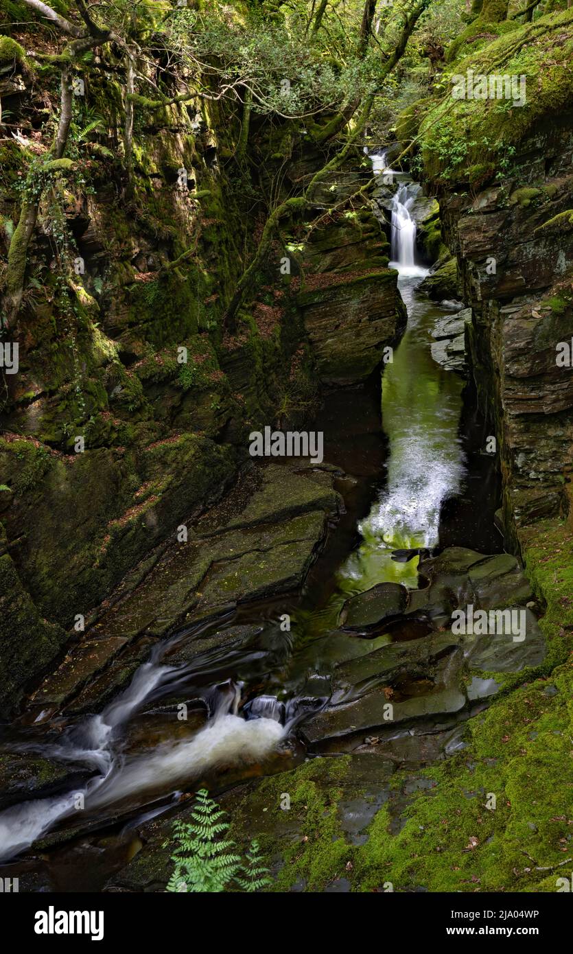 River cynfal hi-res stock photography and images - Alamy