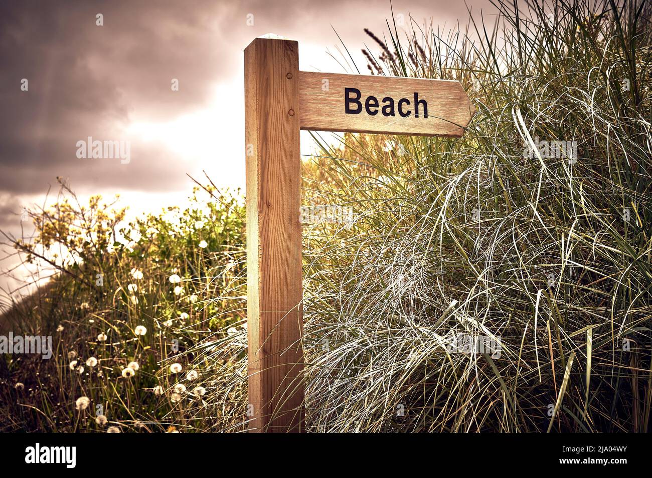 Route to the beach over the sand dunes Stock Photo - Alamy